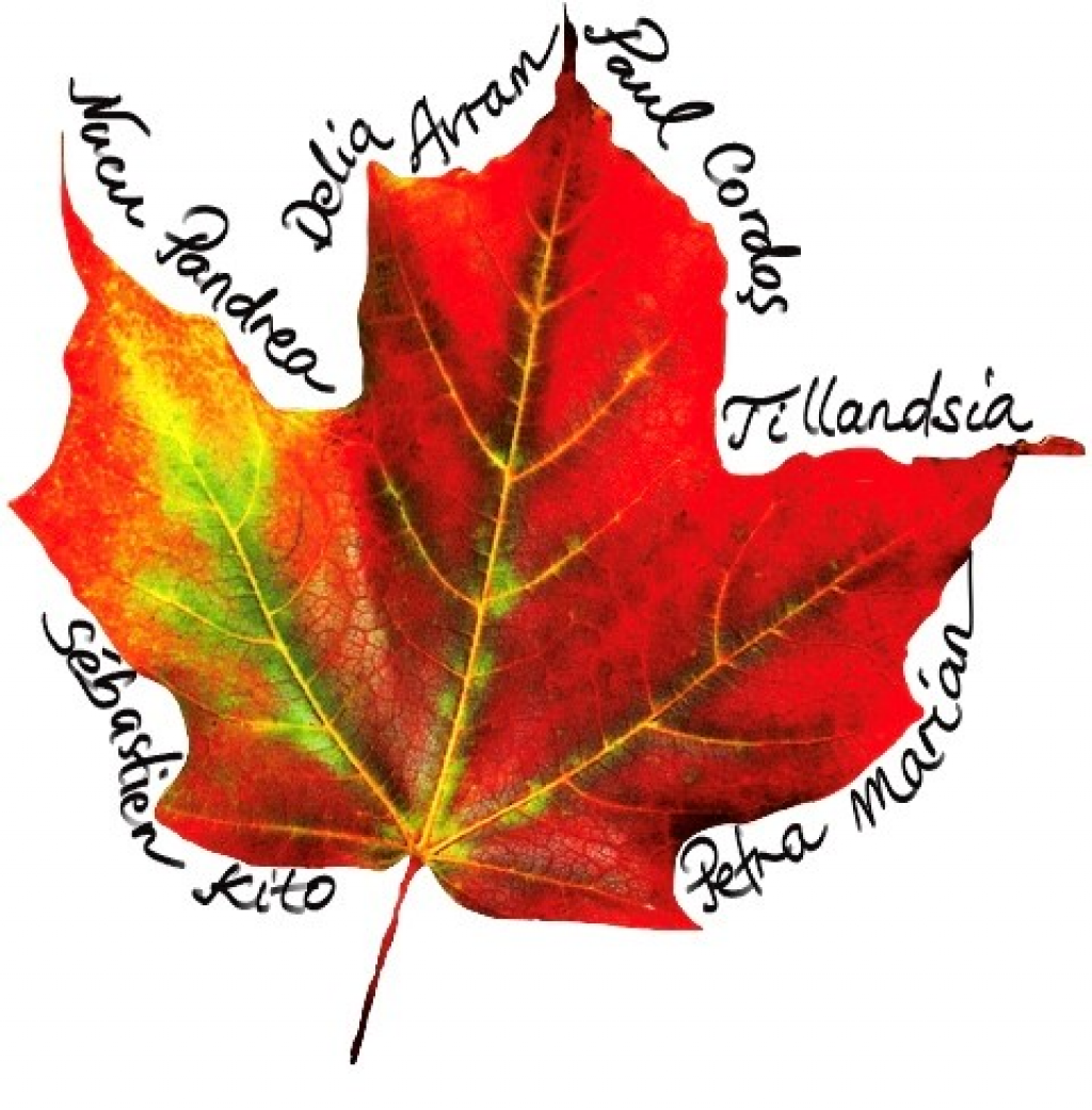 CREDIDAM – Frunza, tema unei expoziții de pictură, sculptură, muzică și ...