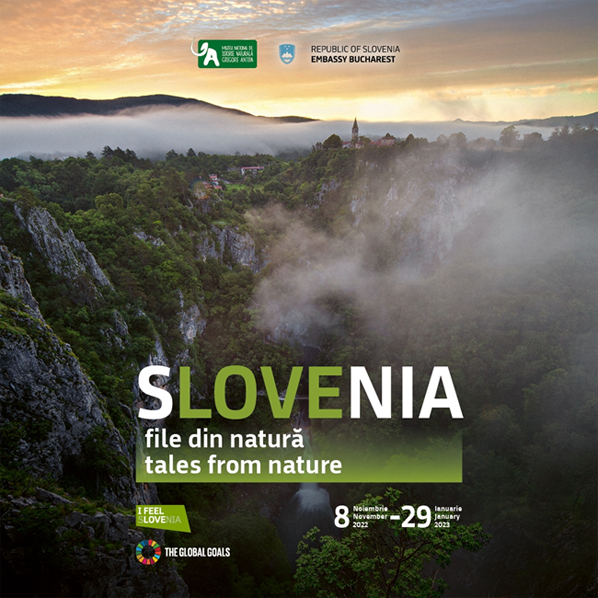 CREDIDAM – Slovenia – File din natură