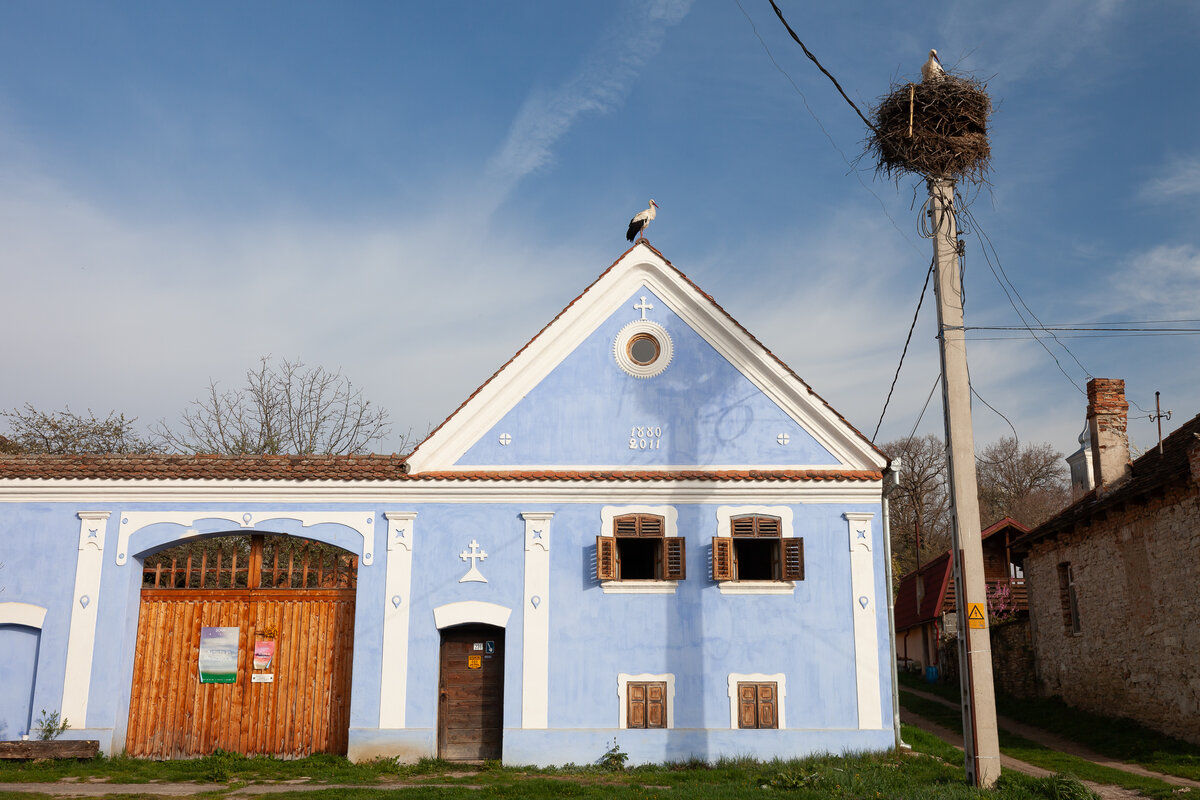 CREDIDAM – A început rezidența Șona AIR 2025: O primăvară a ...